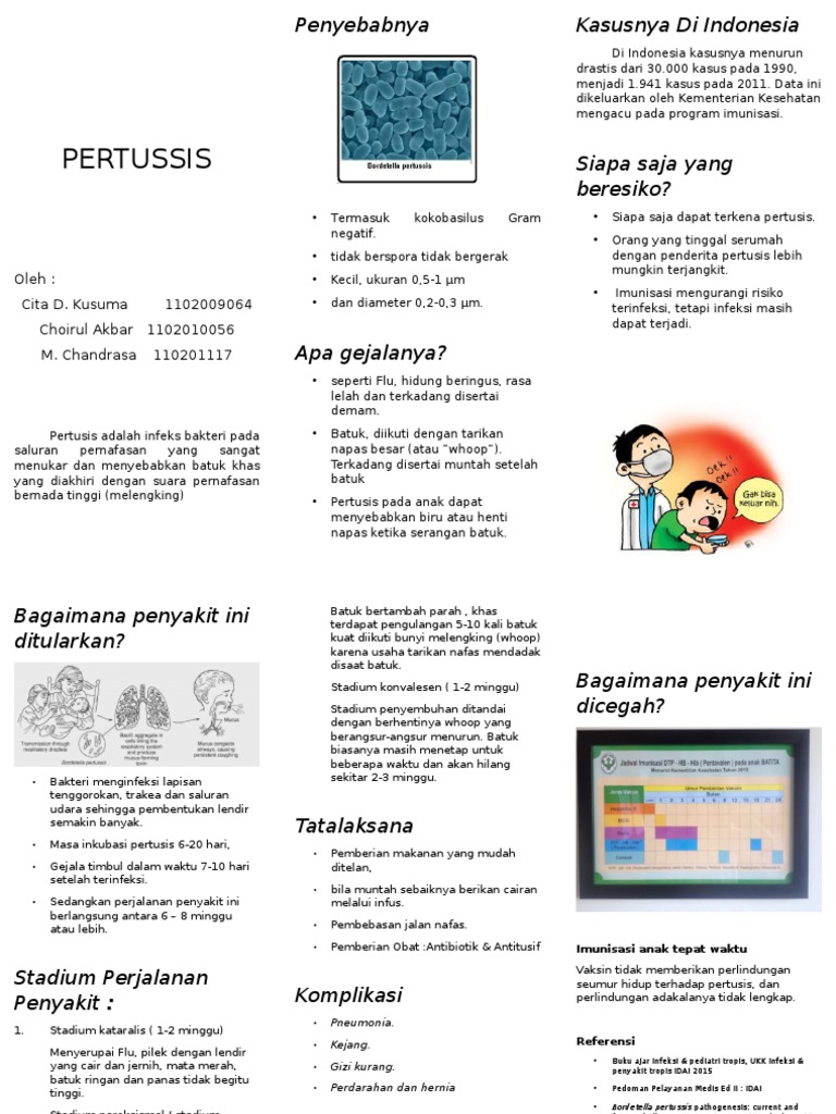 Pertussis Leaflet | PDF