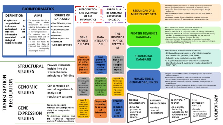 Introduction and Overview of Bioinformatics | PDF | Bioinformatics | Proteins
