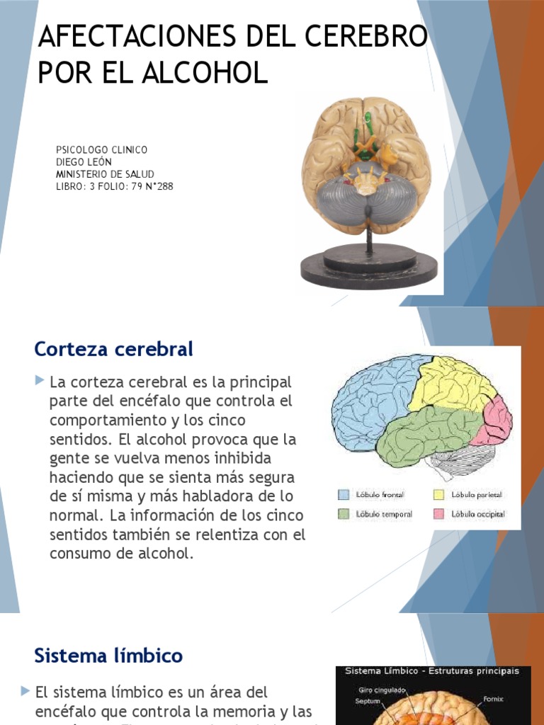 Afectaciones Del Cerebro Por El Alcohol