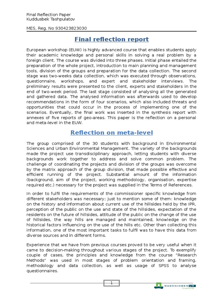 Final Reflection Report | Expert | Decision Making