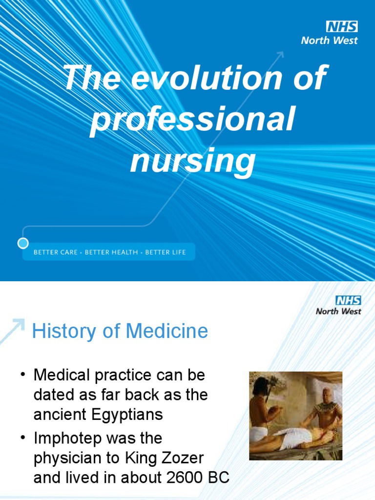 The Evolution of Professional Nursing | PDF | National Health Service ...