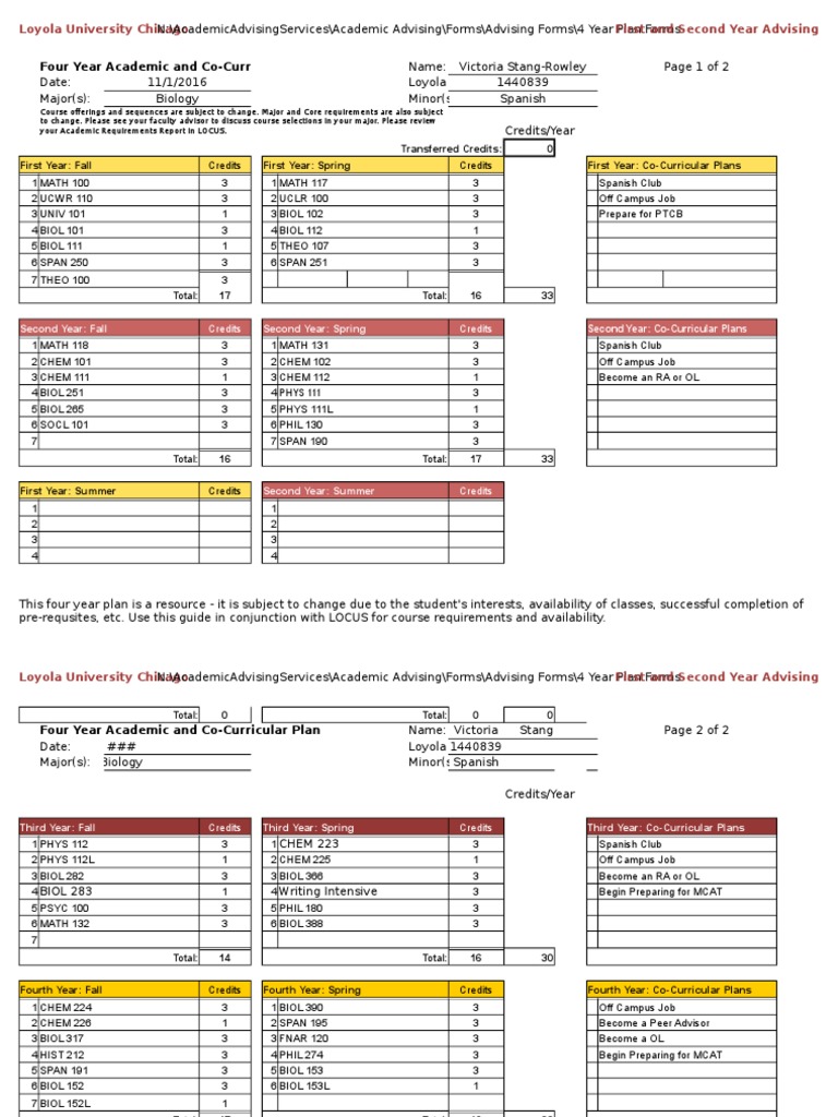 4 Year Plan | PDF | Higher Education | Quality Of Life