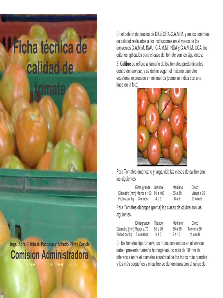 CALIBRES TOMATES.pdf | Fruta | Tomate