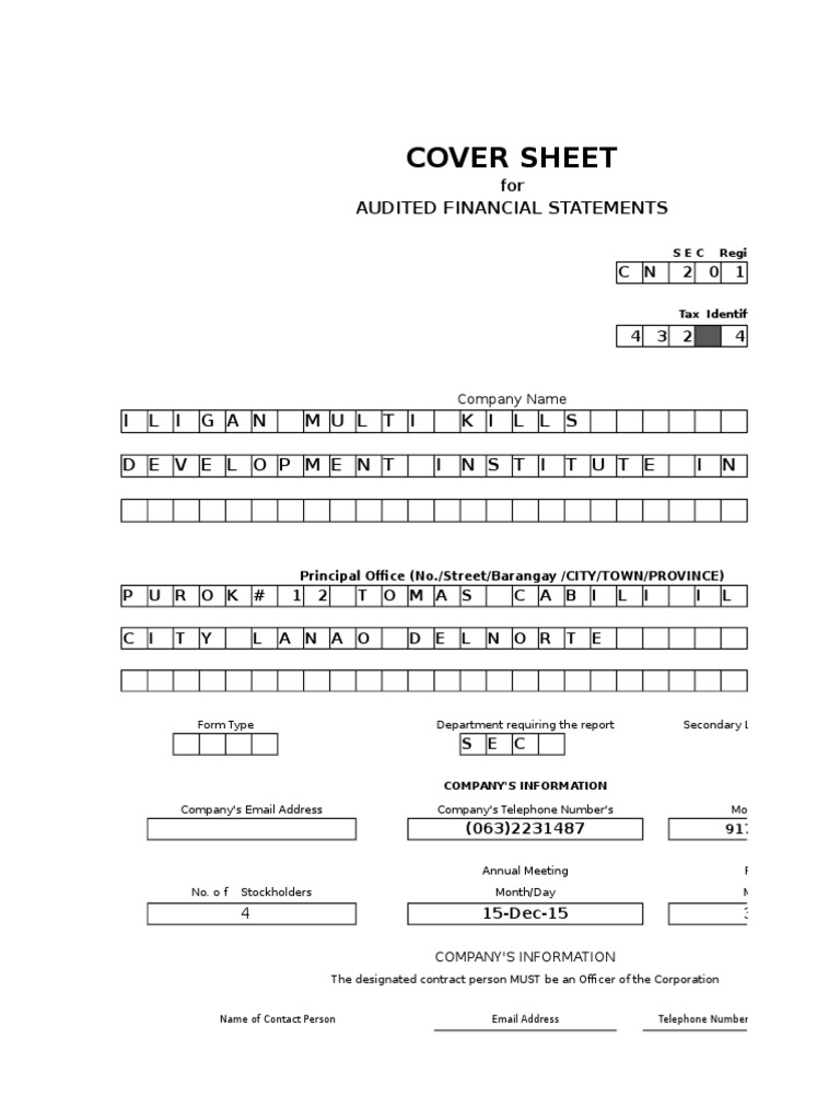 Cover Sheet: Audited Financial Statements | PDF | Audit | Financial ...