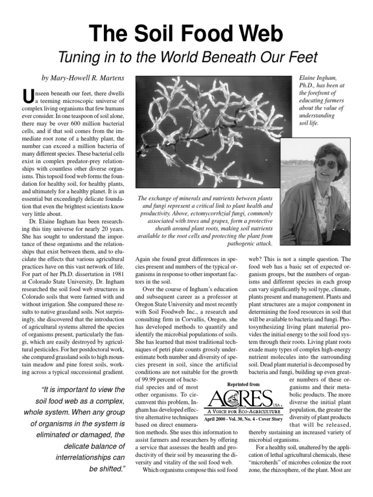 The Soil Food Web PDF | PDF | Science & Mathematics
