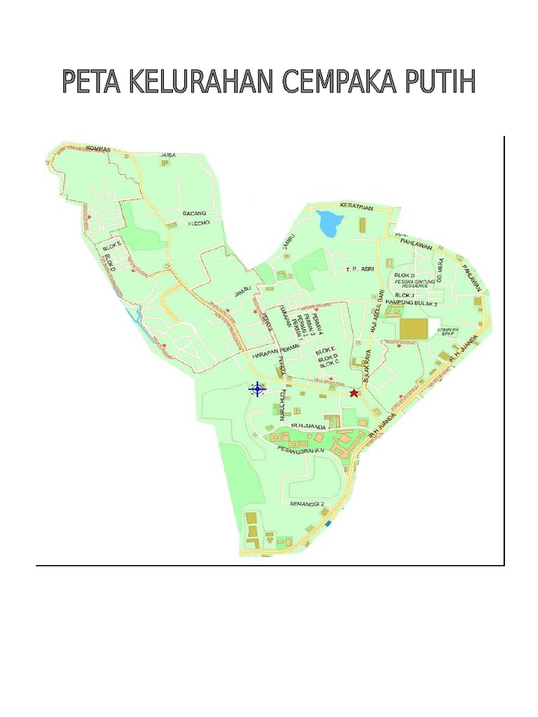 Peta Kelurahan Cempaka Putih | PDF