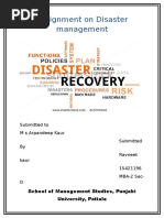 Disaster Management | PDF | Natural Disasters | Emergency Management