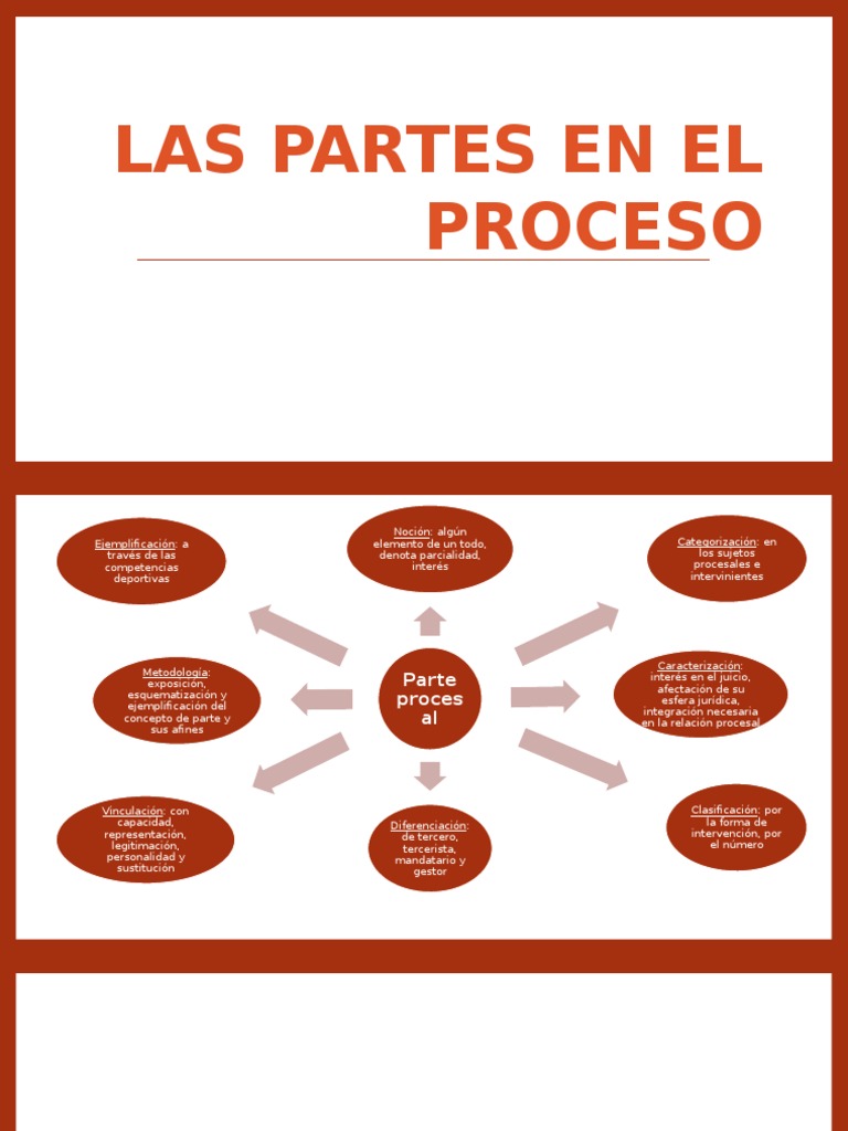 Las Partes en El Proceso | Ley procesal | Gobierno