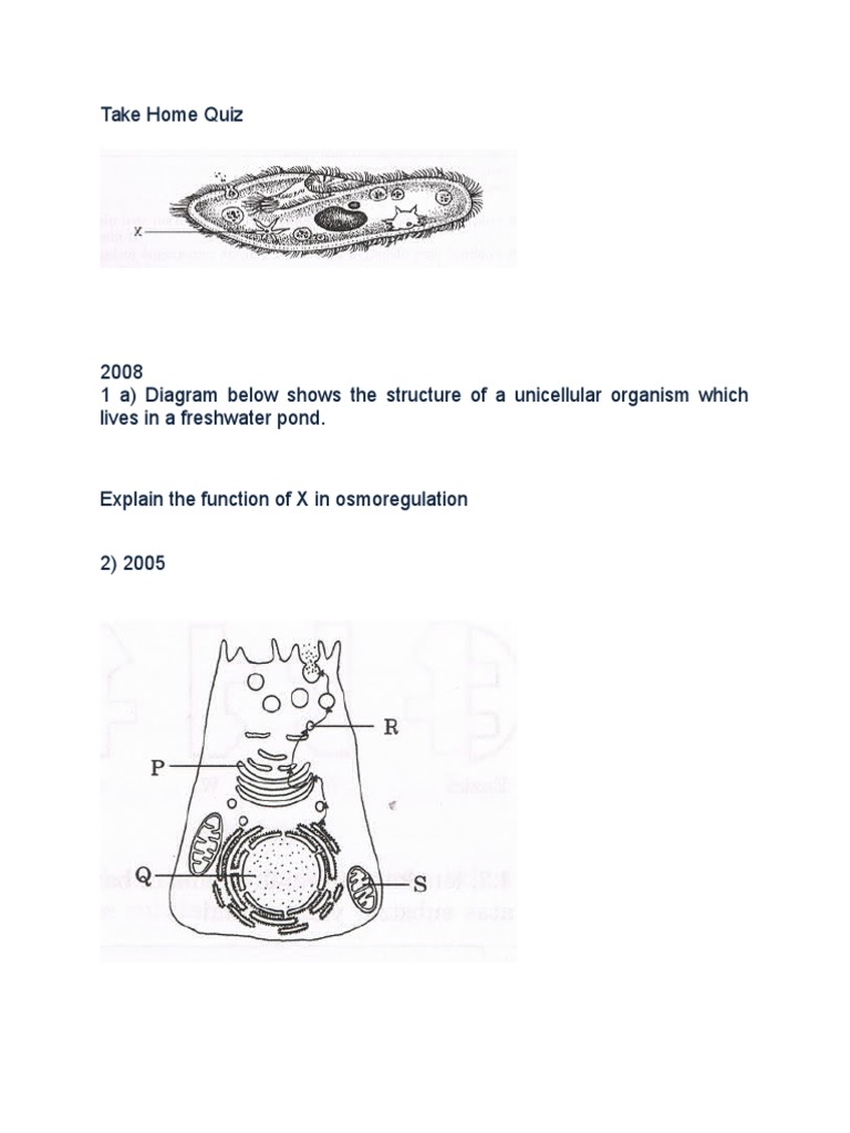 Biology Quiz: Cell Structures & Functions | PDF