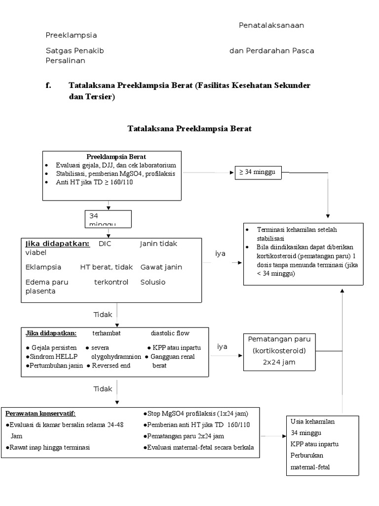 Penatalaksanaan Preeklampsia | PDF