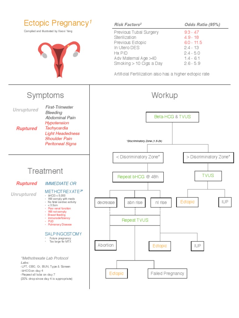 Ectopic Pregnancy: Workup Symptoms | PDF
