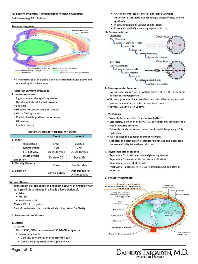 Ophthalmology - Retina and Posterior Segment | PDF