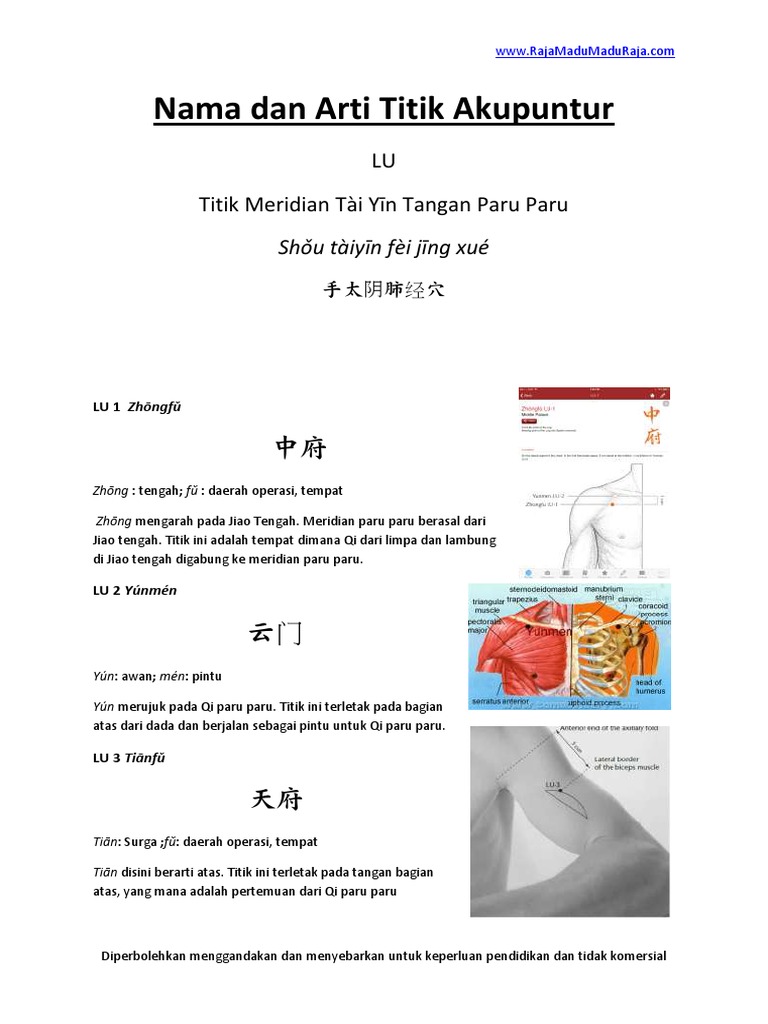 Nama Dan Arti Titik Akupuntur Meridian Paru Paru | PDF