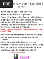 Mitosis Mover Webquest Bioman PDF | PDF | Mitosis | Chromosome