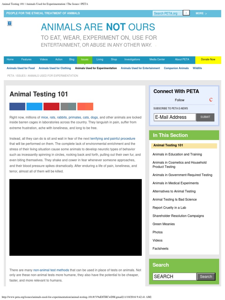 Animal Testing 101 Animals Used For Experimentation The Issues Peta ...