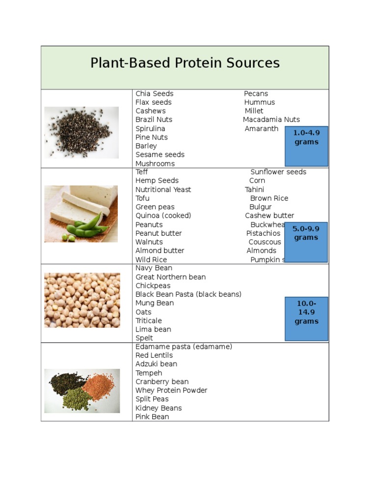 Plant Based Protein | PDF