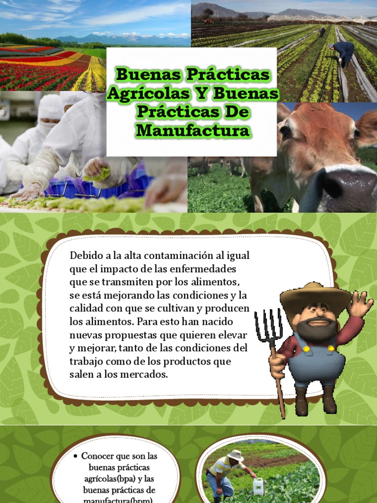 Buenas Prácticas Agrícolas Y Buenas Prácticas de Manufactura. (BPA-BPM ...