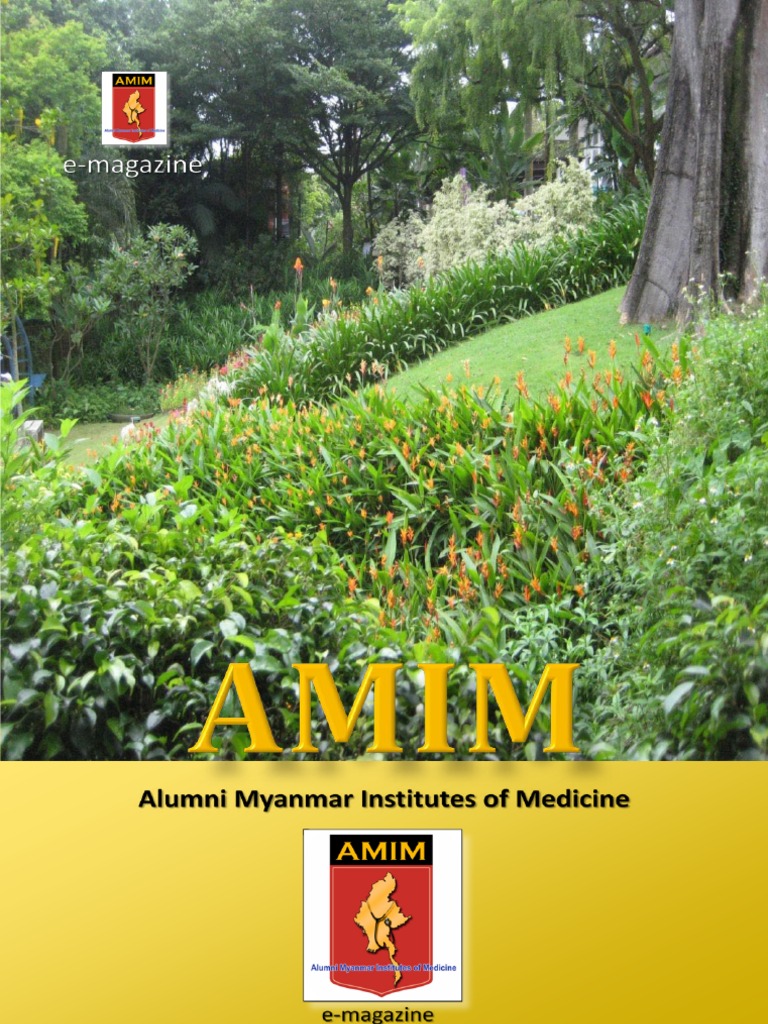 AMIM E-Magazine | PDF
