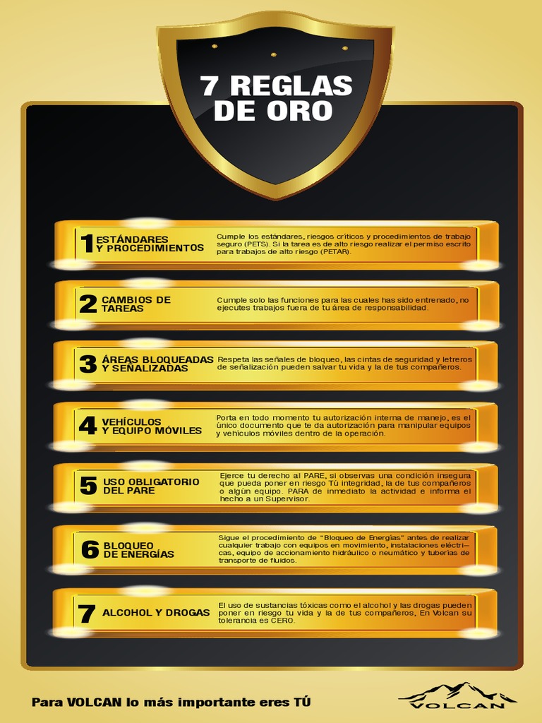 7 Reglas de Oro | PDF | Tecnología