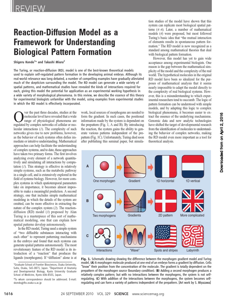 Reaction Diffusion Pattern Earth And Life Sciences