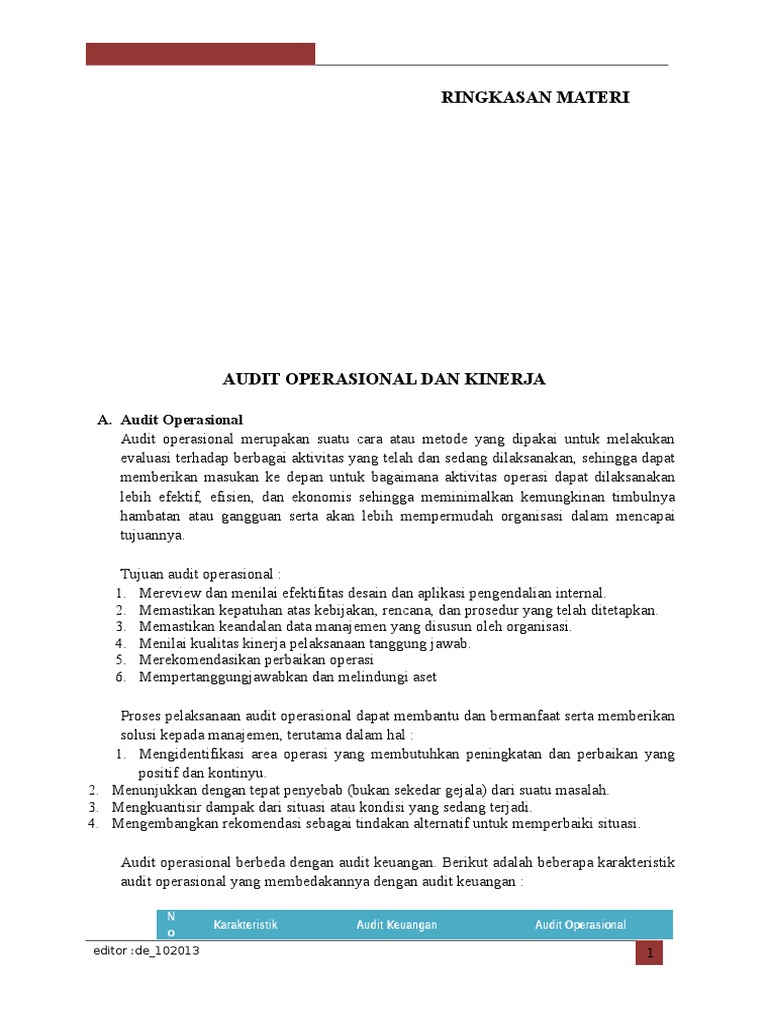 Audit Operasional Dan Kinerja | PDF