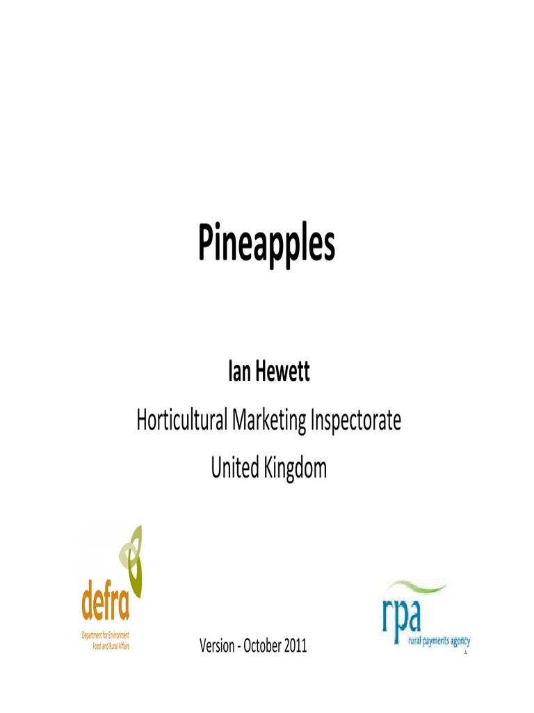 Pineapple Brochure Presentation | PDF | Pineapple | Fruit
