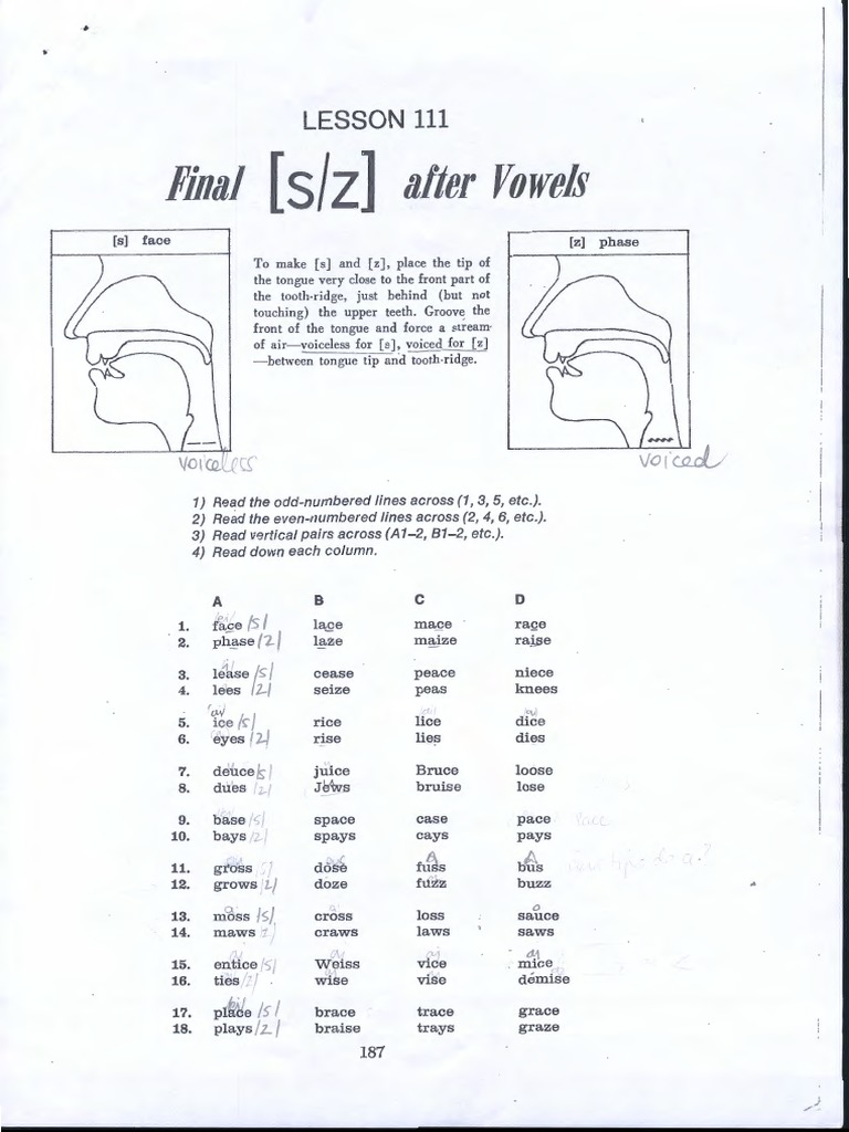 Lesson S-Z, IZ | PDF | Otorhinolaryngology | Phonetics