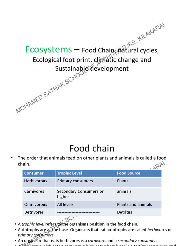 Sustainable Planning and Architecture - Ecosystems Food Chain Natural ...