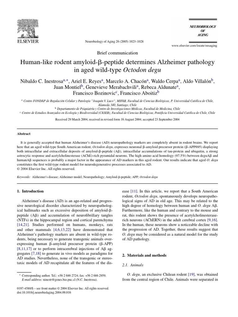 Octogon Degus | PDF | Primer (Molecular Biology) | Alzheimer's Disease