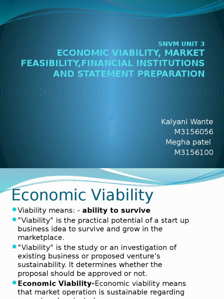 SNVM Unit 3 | PDF | Feasibility Study | Balance Sheet