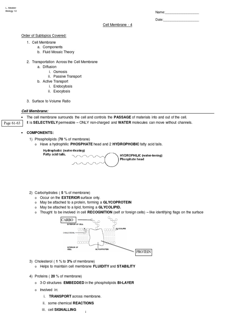 Cell Membrane | PDF | Cell Membrane | Osmosis