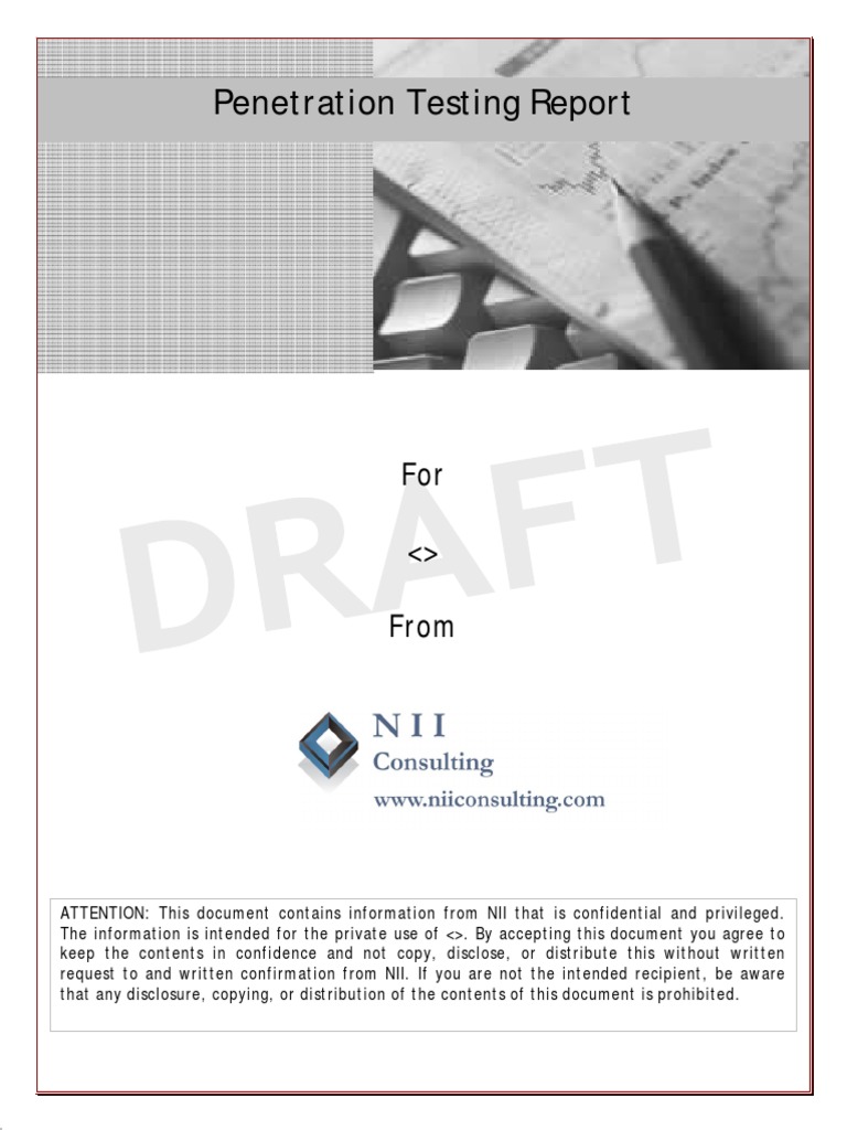 NII Sample PT Report PDF | Download Free PDF | Computer Security ...