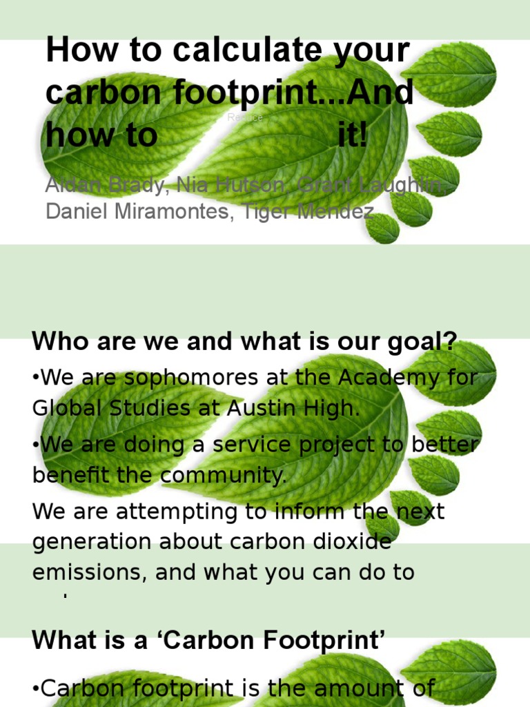 Co2 Powerpoint | PDF