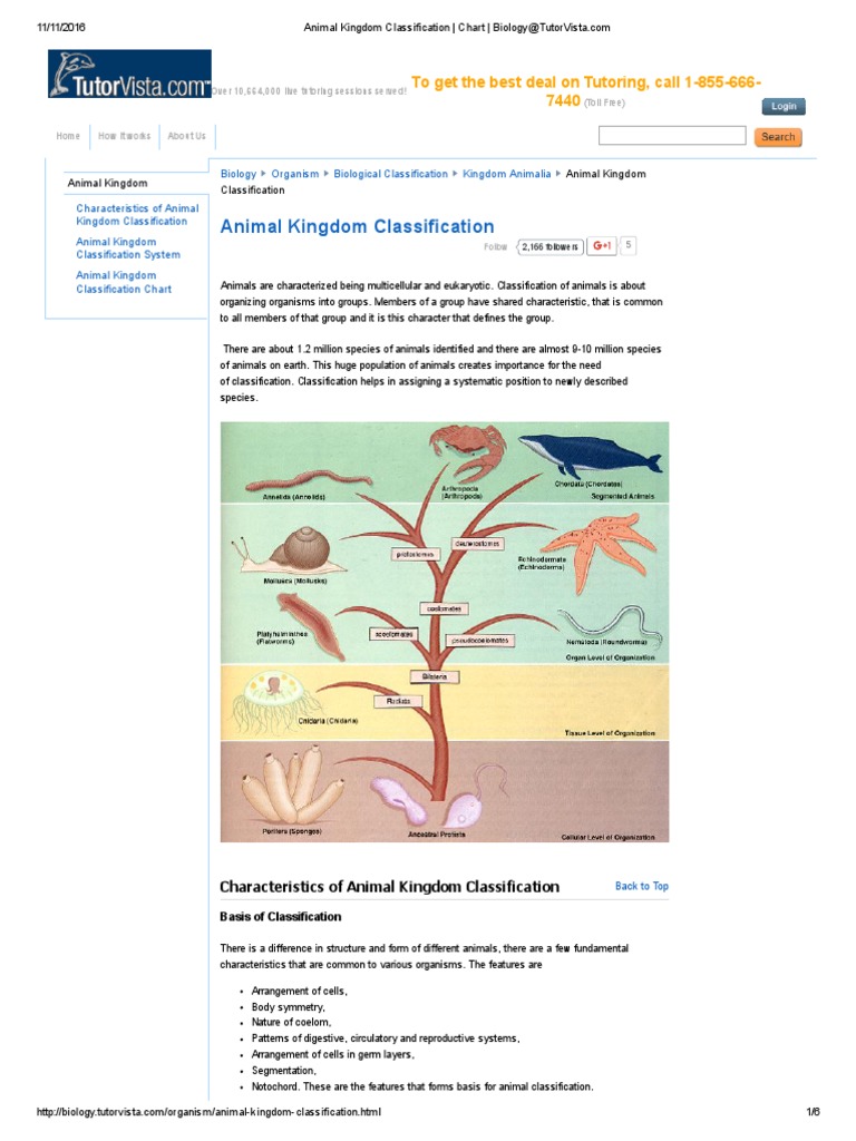 Animal Kingdom Classification - Chart - Biology@TutorVista | PDF ...