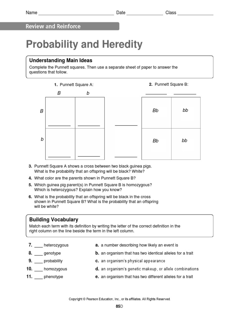 Chapter 3 Lesson 2 Homework | PDF