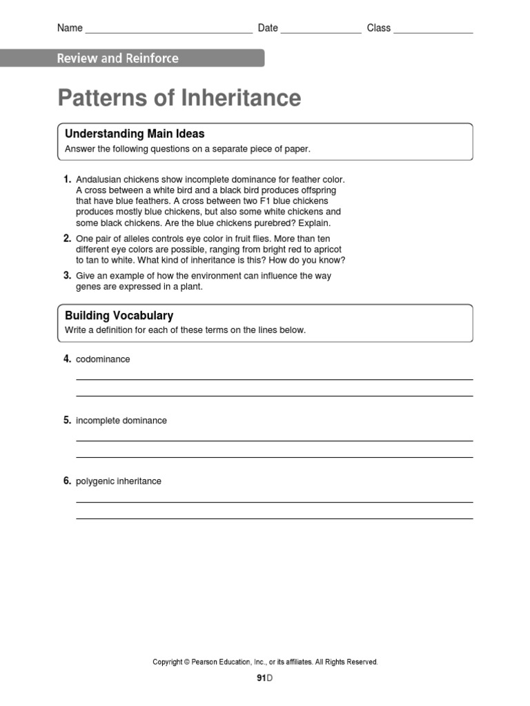 Chapter 3 Lesson 3 Homework | PDF