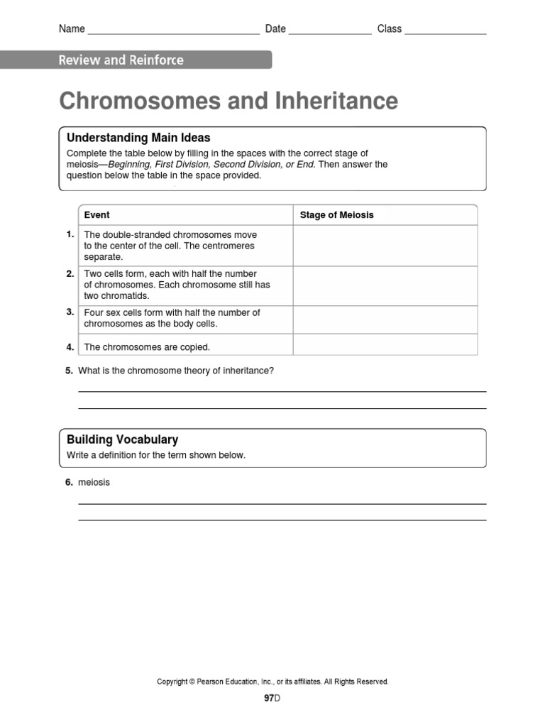 Chapter 3 Lesson 4 Homework | PDF