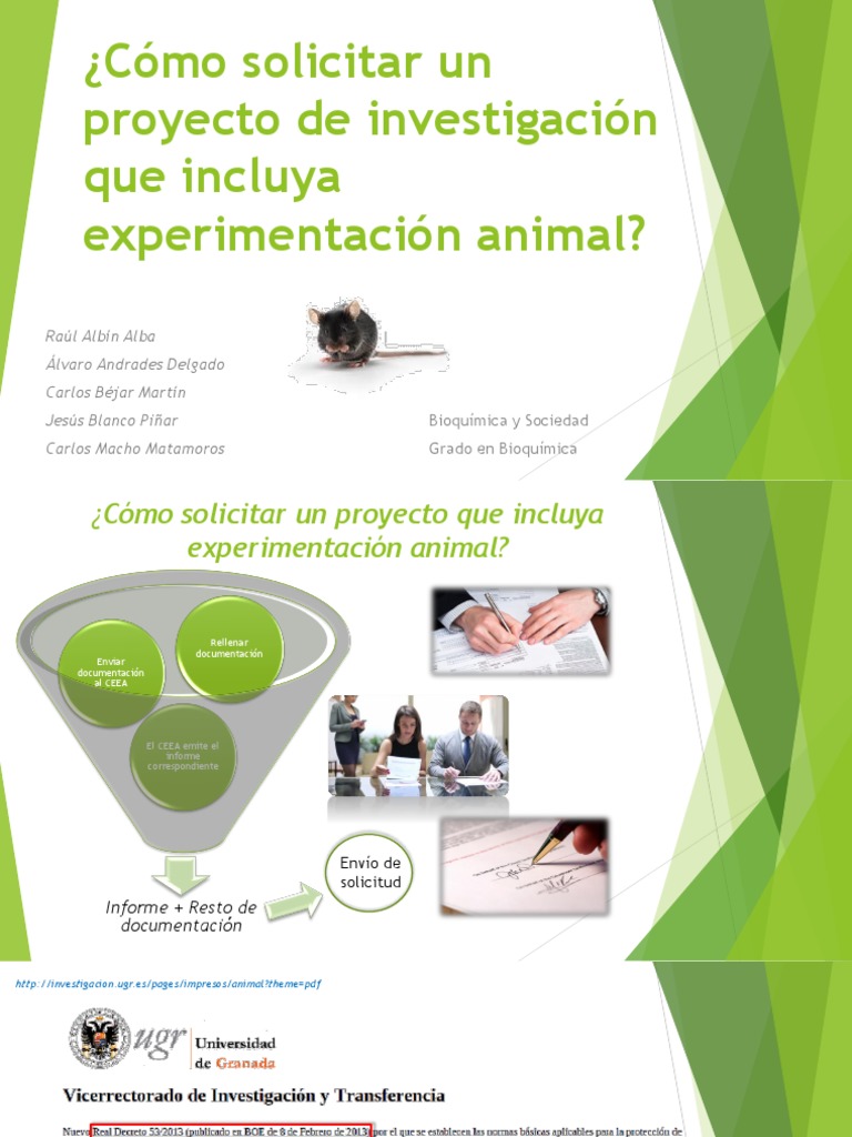 Solicitud de Proyectos con Animales | PDF | Pruebas en animales | Unión ...
