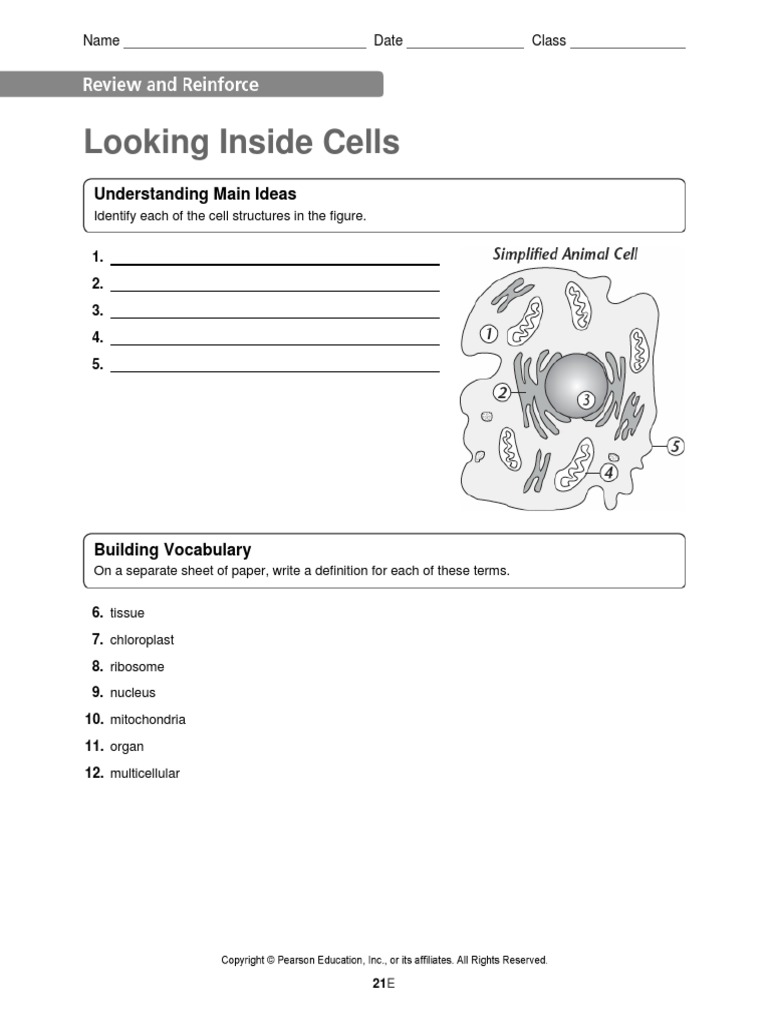 Chapter 1 Lesson 2 | PDF