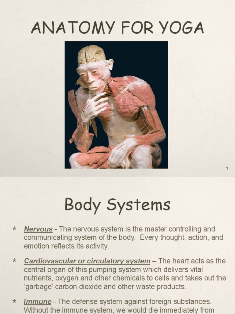 Yoga For Anatomy Complete | PDF | Anatomical Terms Of Motion | Shoulder
