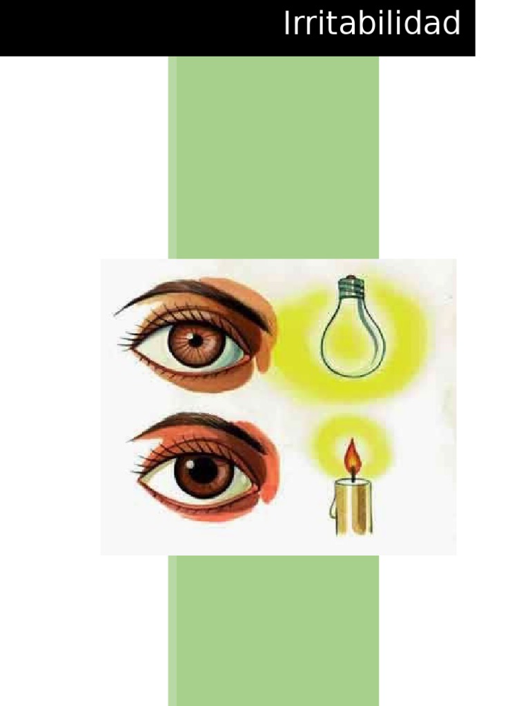 Irritabilidad | PDF | Raíz | Estímulo (fisiología)