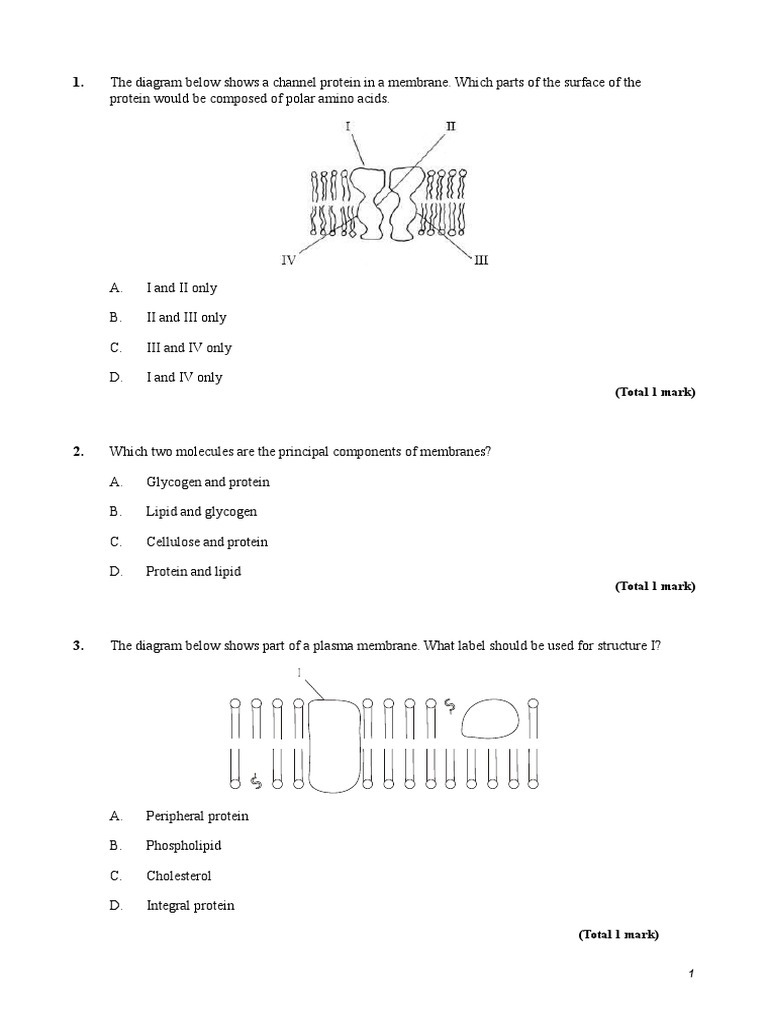 IB Questions Cell Ultrastructure and Scale | PDF | Cell (Biology ...