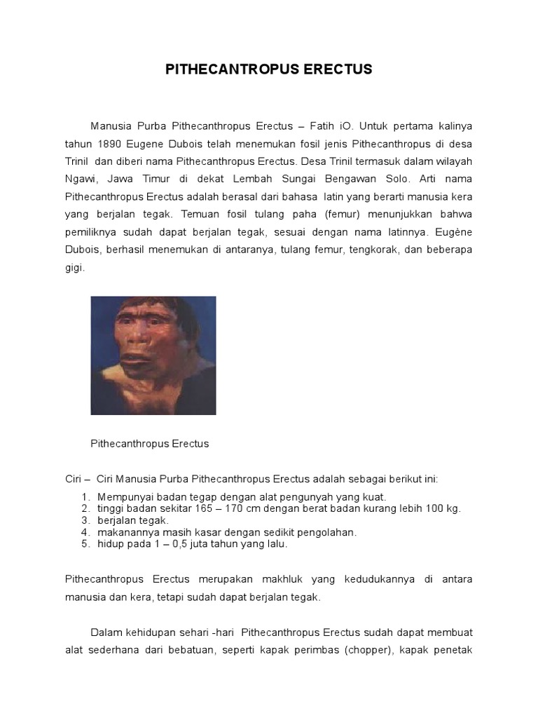 Manusia Purba Pithecanthropus Erectus | PDF