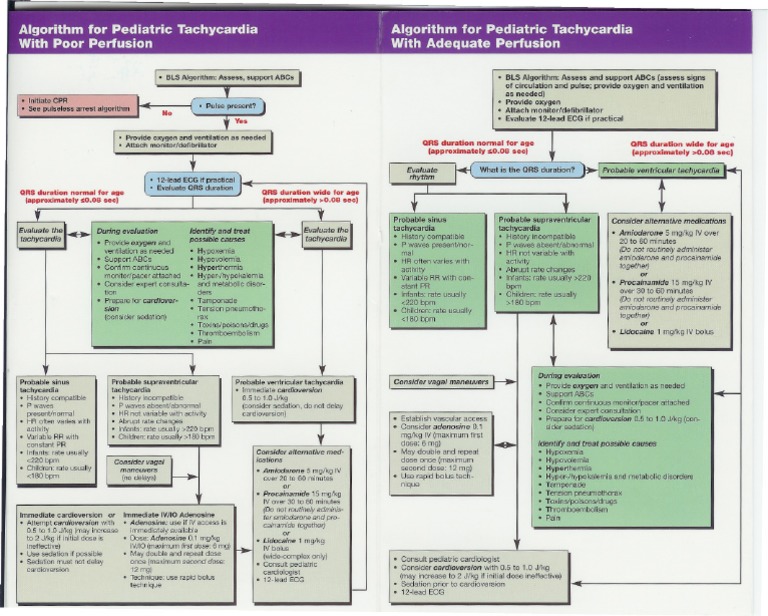 Pediatric Tachycardia Algorithms | PDF | Cardiovascular Physiology | Medical Treatments