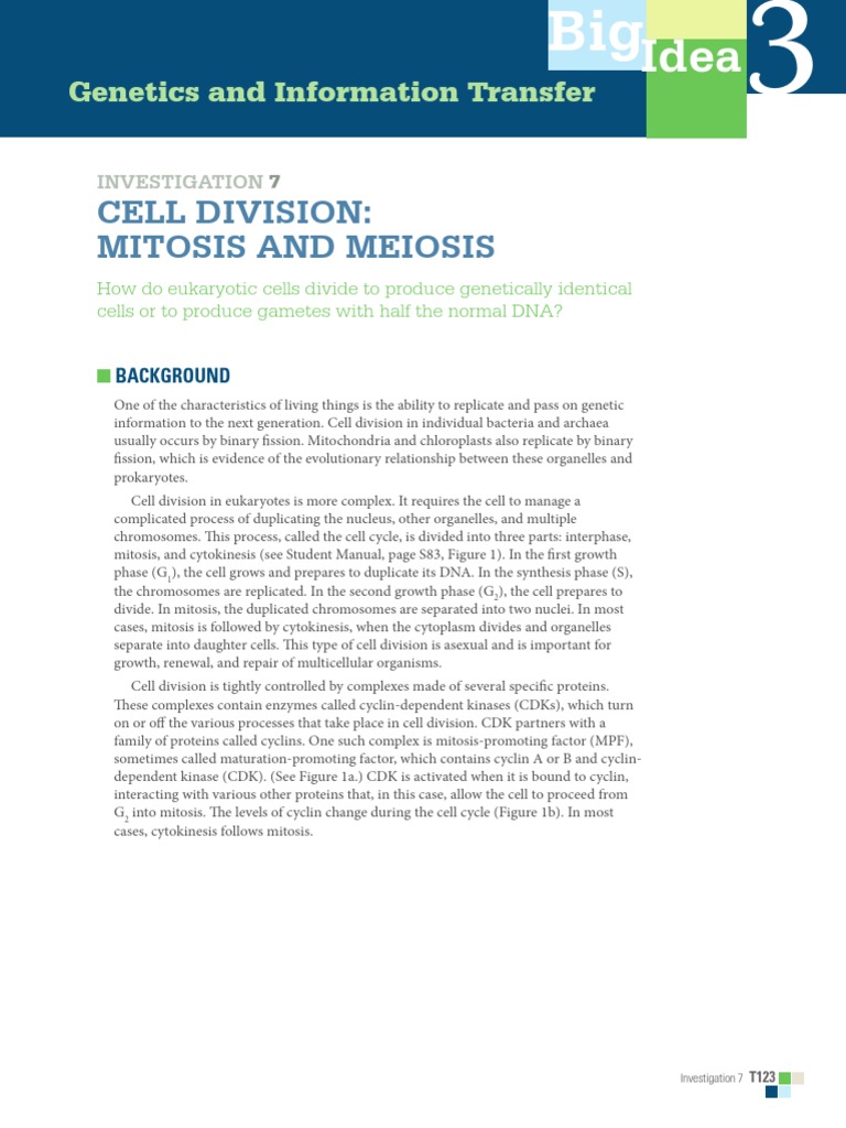 Bio Lab7-CellDivisionMitosisandMeiosis PDF | PDF