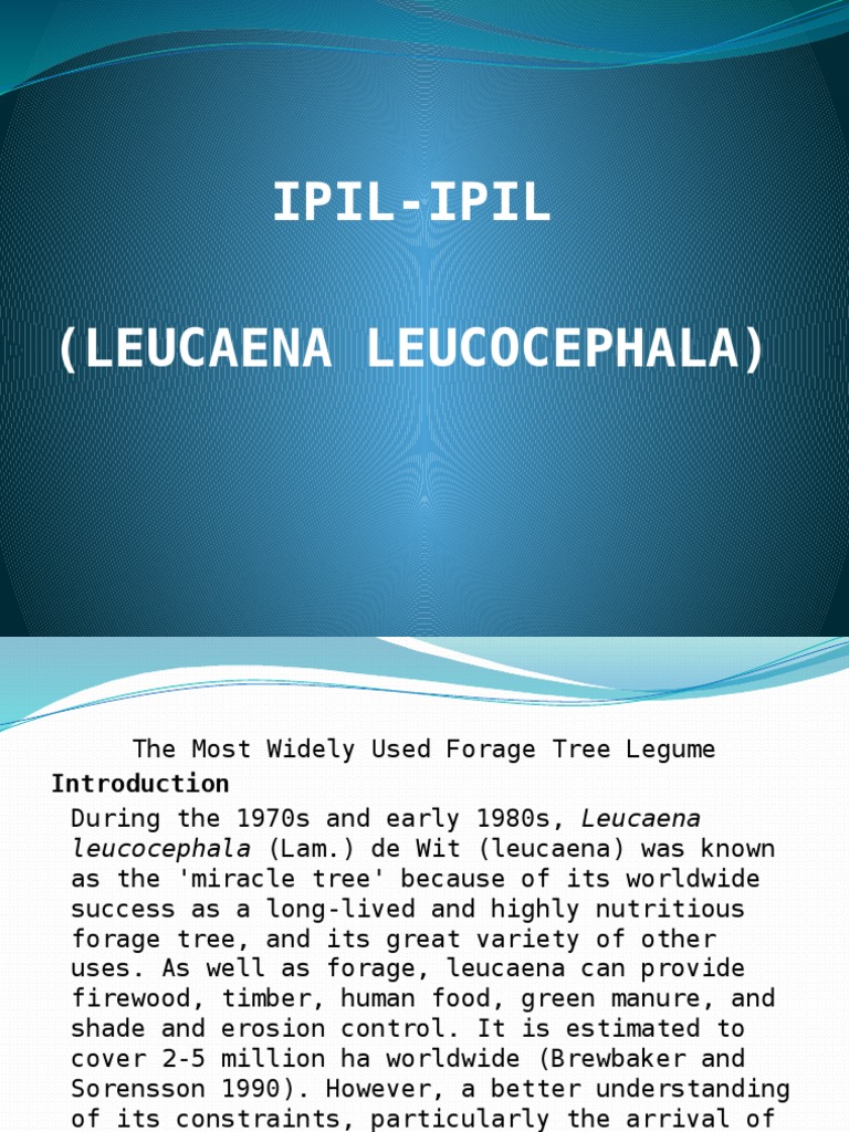 IPIL-IPIL | Seed | Agronomy