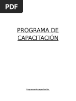 Plan Anual de Capacitación 2016-2019 | PDF | Agitación