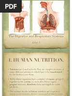4th Grade Science: Human Body Systems | PDF | Human Digestive System ...