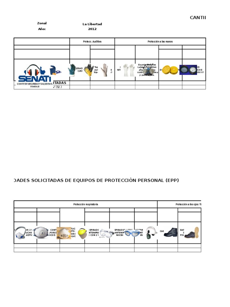 Consolidado de EPP | PDF | Naturaleza