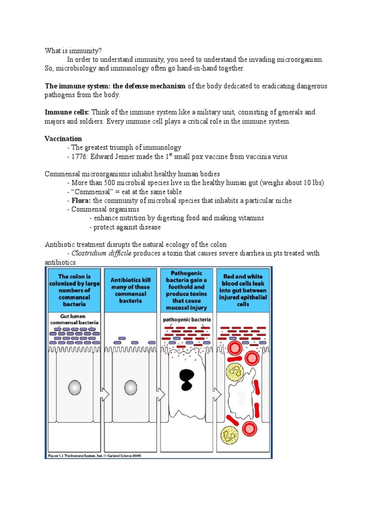 An Overview of the Immune System: Its Cells, Mechanisms of Defense ...
